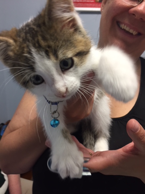 Riverview Animal Hospital - Chippewa Falls, WI - Photo Album / Our Patients